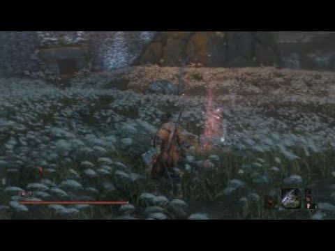 Sekiro™: Shadows Die Twice - Моя битва с Иссином, Мастером Меча