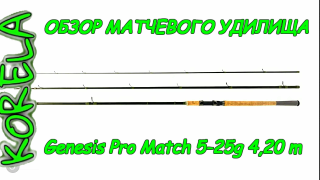 Обзор Genezis Pro Match?