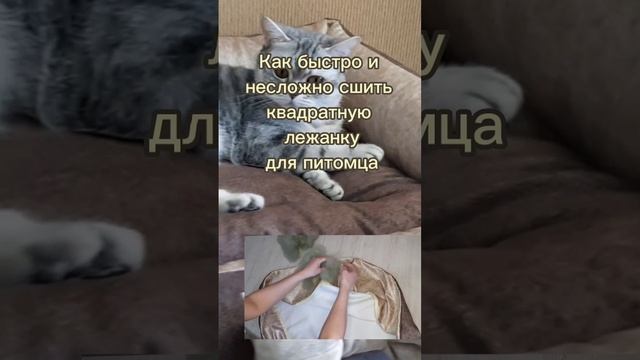 Как быстро и несложно сшить квадратную лежанку для питомца