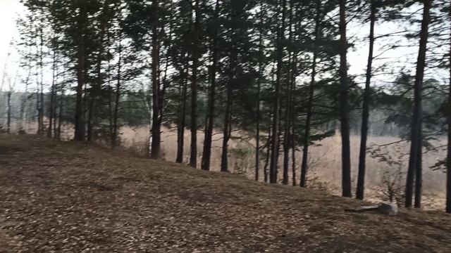 16 октября 2022год.Тюмень. Отдыхаем.