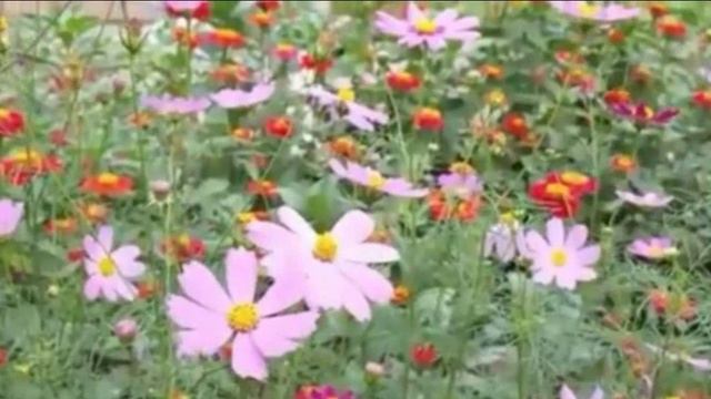 ШАНСОН РВУЩИЙ ДУШУ! ПЕСНИ от КОТОРЫХ  СЛЕЗЫ ВЫСТУПАЮТ! 2024!Б