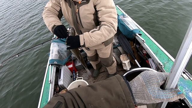 Река кормилица. Камчатка.