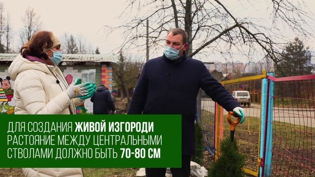 ДИАЛОГИ С ЭКСПЕРТАМИ. Посадка туй в Специализированном доме ребенка.