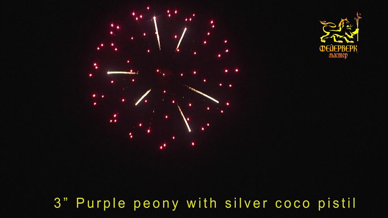 3" Purple peony with silver coco pistil