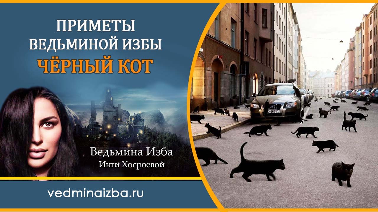 ЧЁРНЫЙ КОТ | ПРИМЕТЫ B ПОВЕРЬЯ| ИНГА ХОСРОЕВА | ВЕДЬМИНА ИЗБА