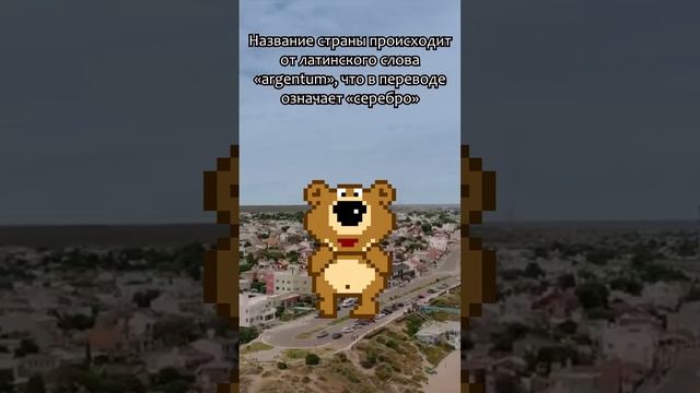 Мишка и Аргентина