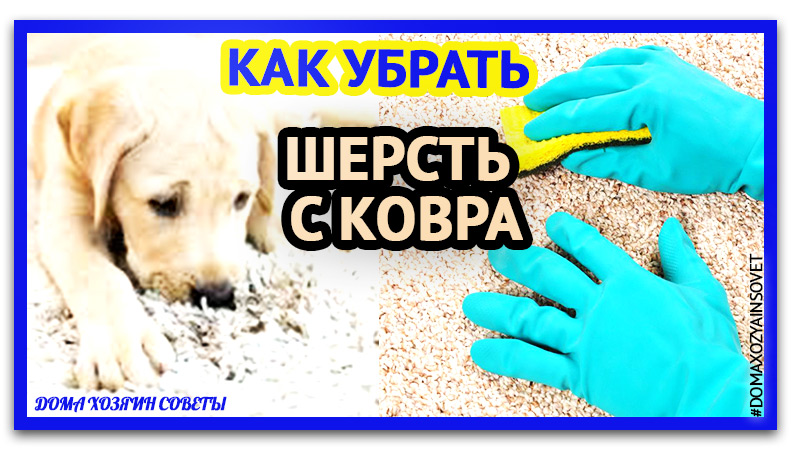 Как убирать шерсть домашних животных с ковра.