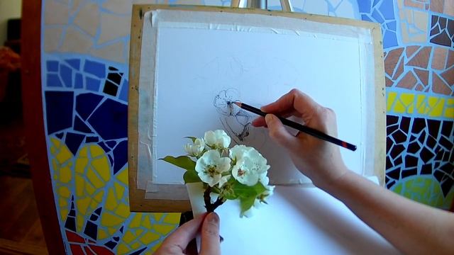 Пленэр 2 день. "Тональные зарисовки растений"