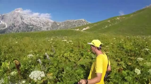 Прогулка на приют Фишт с Яворовой поляны | Кавказский заповедник