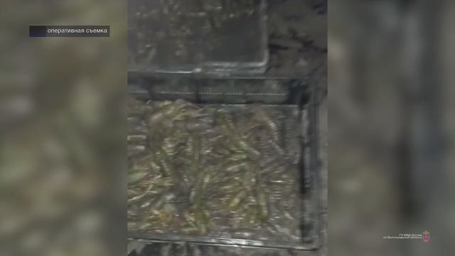 Эфир программы "Криминальный блок" от 24-07-2021 года