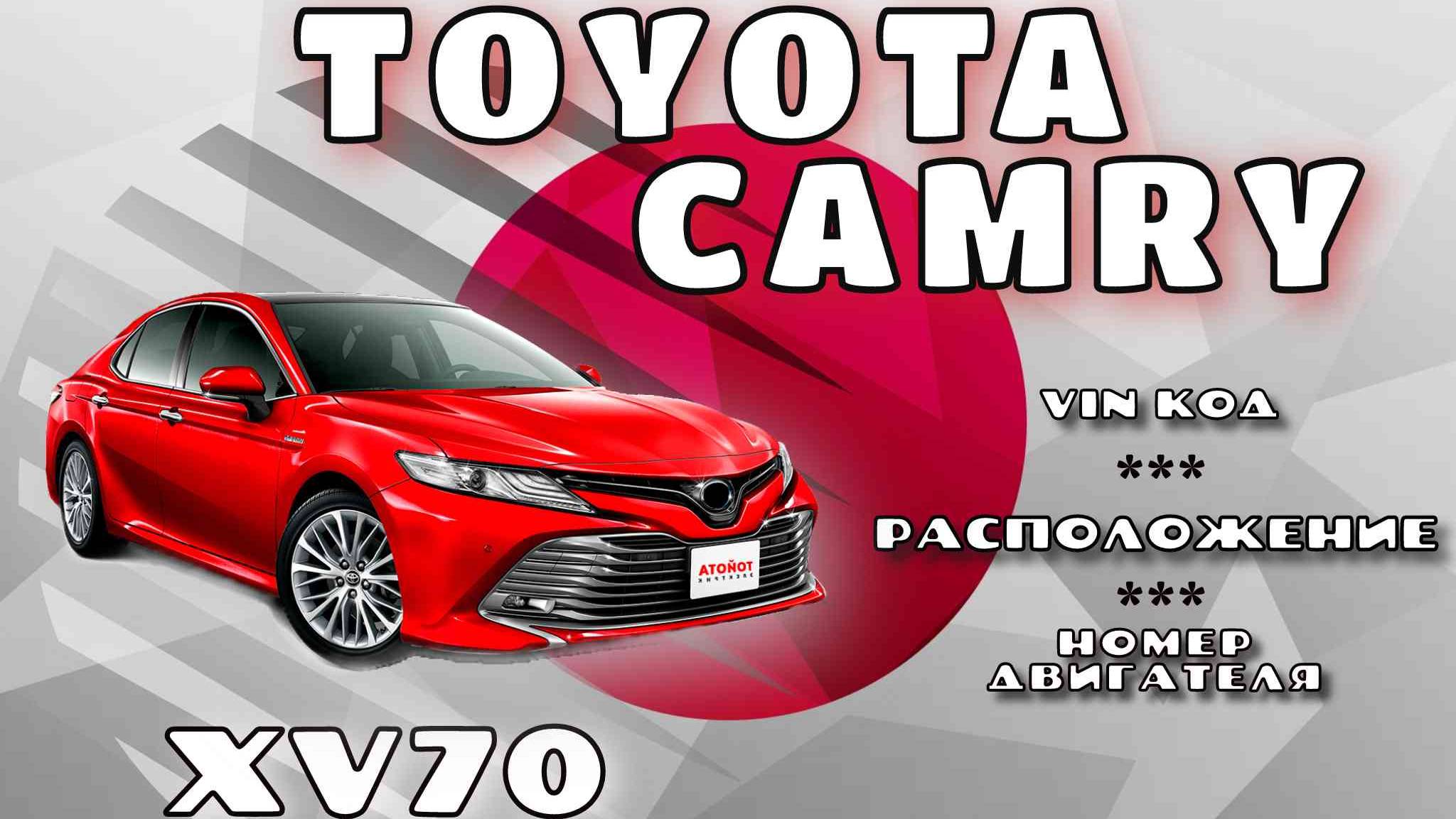 Где находится Vin и номер двигателя на Toyota Camry XV70. Мотор 2.0л (M20A), 2.5л (2AR), 3.5л (2GR).