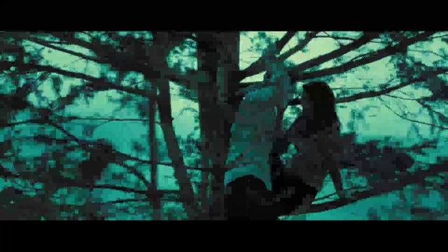 Сумерки Сага/Twilight Saga