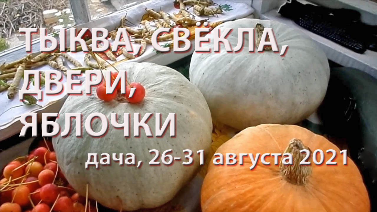 Август 2021, тыква свёкла двери.mp4