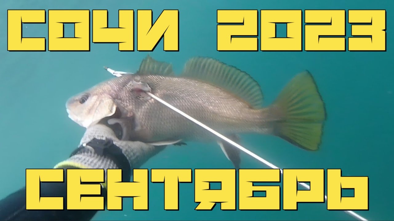 Подводная охота 3 Сентября 2023