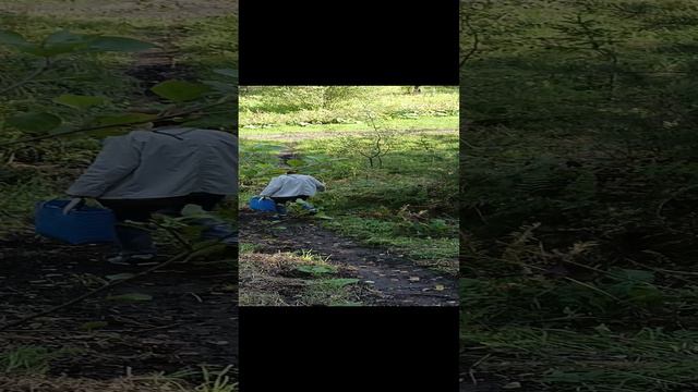 Спуск по крутой тропинке _20240823_132420