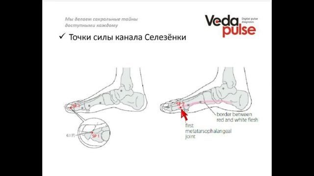 Канал Селезёнки/Поджелудочной железы, диагностика и методы воздействия
