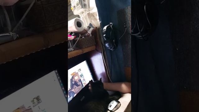 Звуки отшельника. Волосатый симпл димпал мешает работать. Деревенская келья.