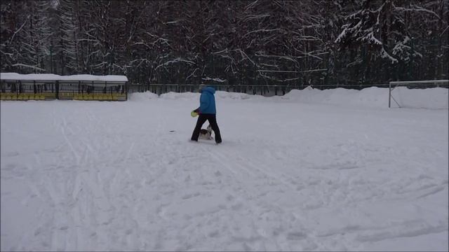 Фризби Вебстайл 2015 Мария и Чара.mp4