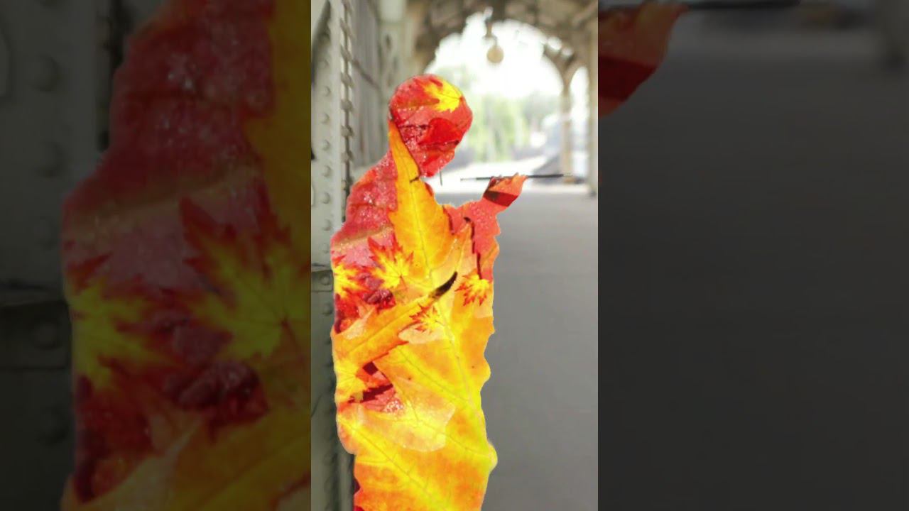 Мадам, уже падают листья...Вертинский #shorts #short #shortvideo #shortsvideo #музыка #music #retro