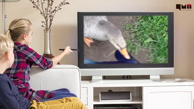 Ну-ка, наука! - Лицо, гуси и деревья