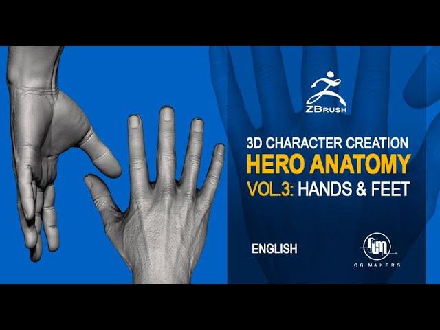 Anat Vol 03 01  Introduction To The Foot