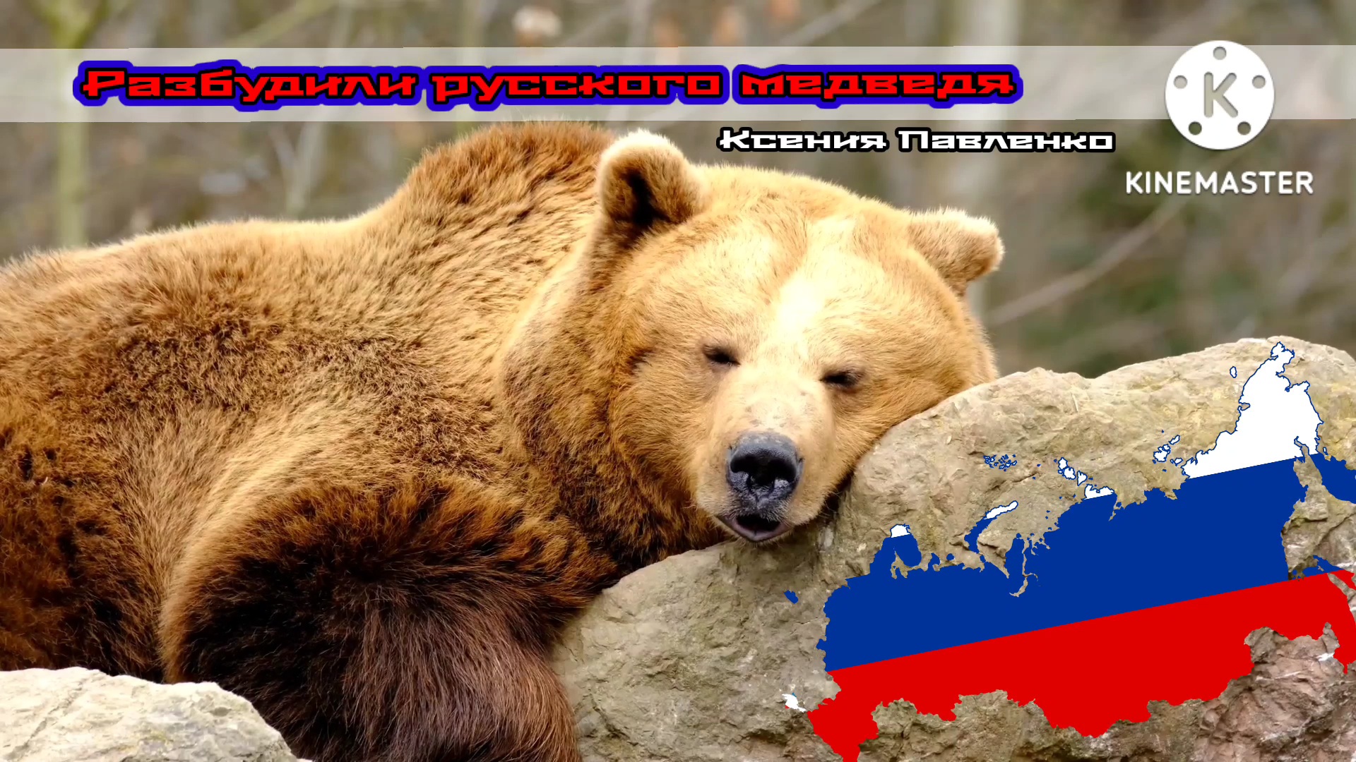 "РАЗБУДИЛИ РУССКОГО МЕДВЕДЯ "стихи Ксении Павленко