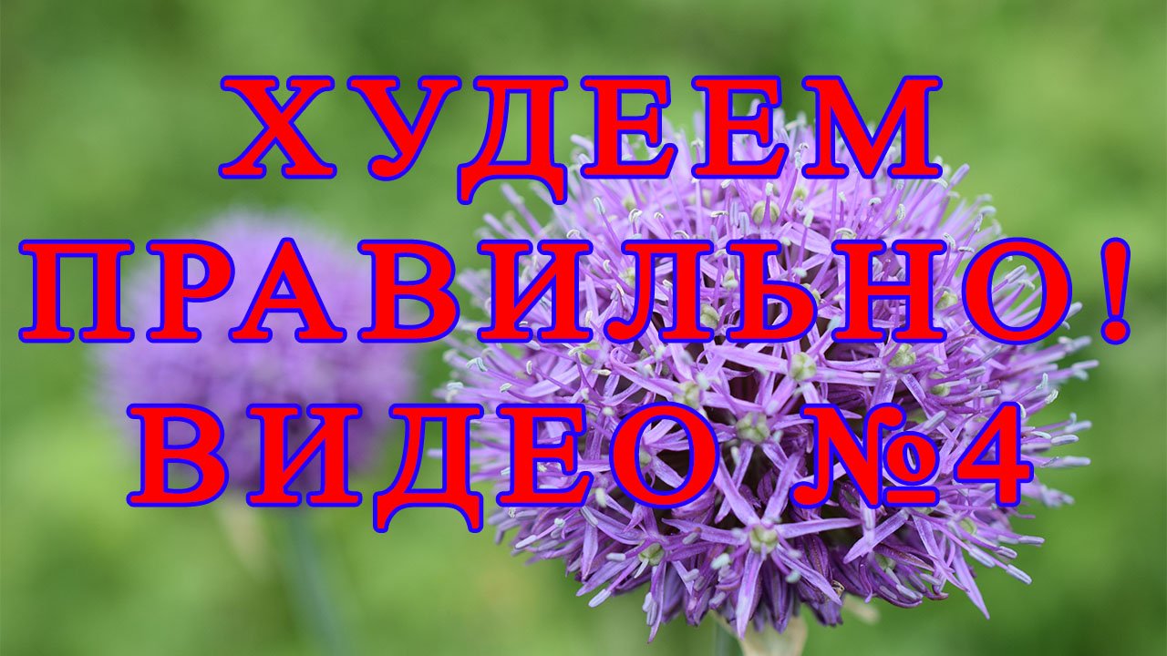 Похудение ролик 4 Эксперимент