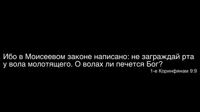 Урок 1. Введение в книгу Второзаконие. Изучаем Библию с Виталием Олийником.mp4
