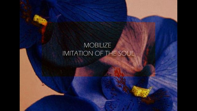 Mobilize - Sensory Deprivation