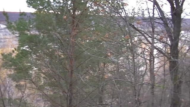 Жигулёвск, прогулка, горы, Моркваши, карьер.mp4