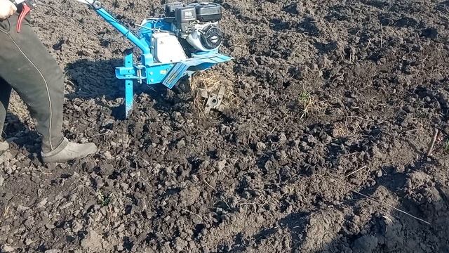 Фрезерование земли мотоблоком под томаты