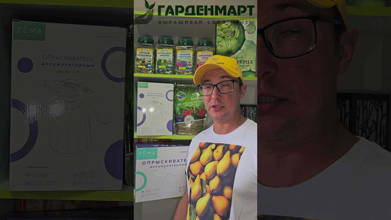 Почему не цветут пионы, лилейники  #советысадоводам #лилии