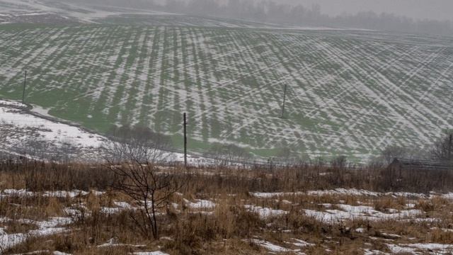 "В ПОЛЯХ ЧЕРНОЗЁМНОЙ РОССИИ"... (Фото Евгения Степанова (Тула) - Сергей Ляпунов - Концерт № 2)