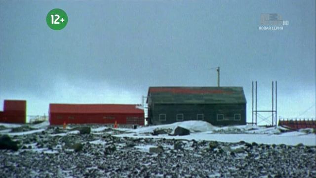 Земля динозавров 3 серия «Юрский период: На краю Земли» (документальный сериал, 1999)