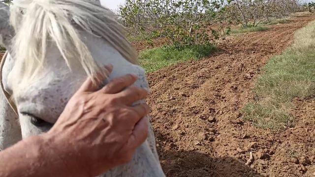 Тунис Caribbean World Mahdia 2023г.(ч.2)