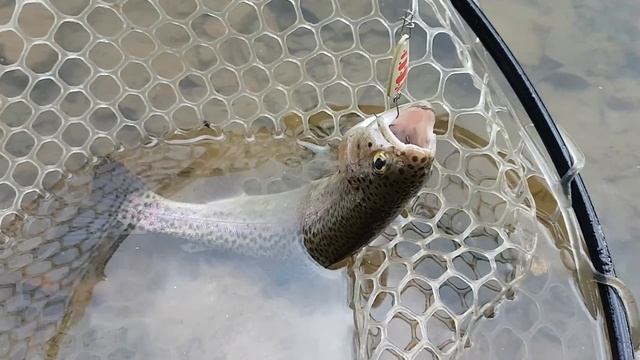 Форелевые блесны "SNAKE" (Ilba)