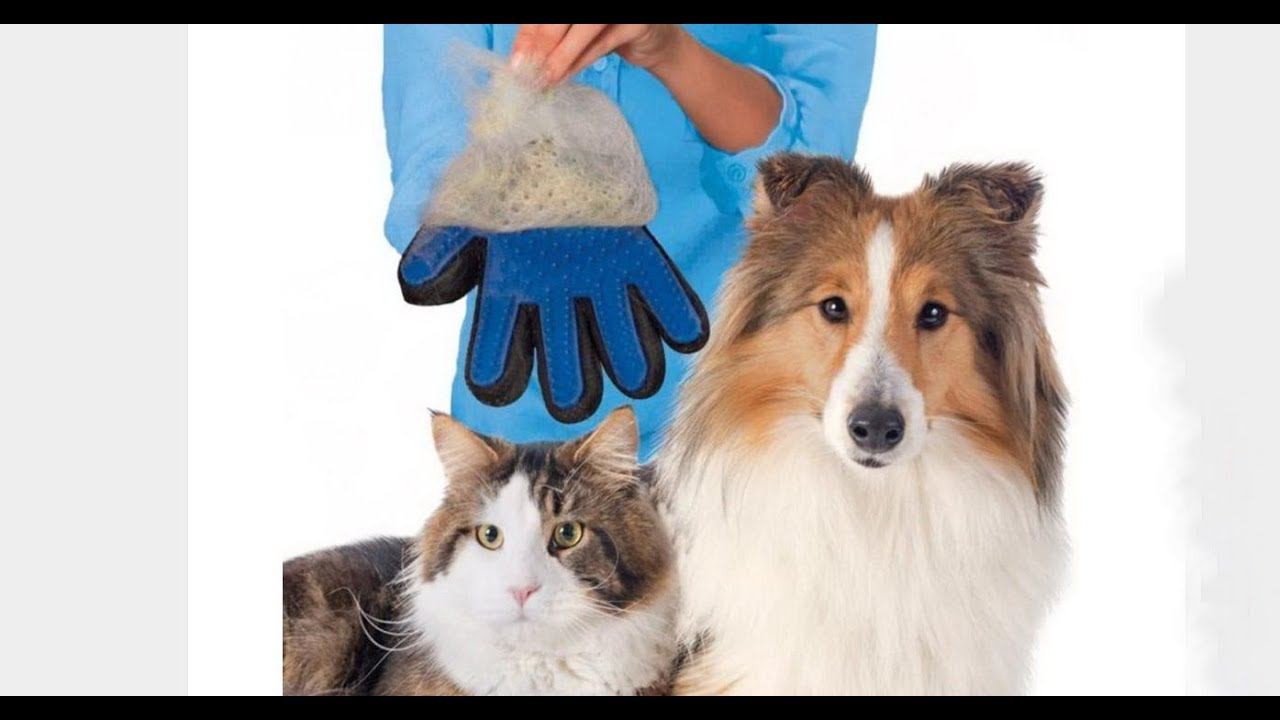 Перчатка для расчесывания и купания животных