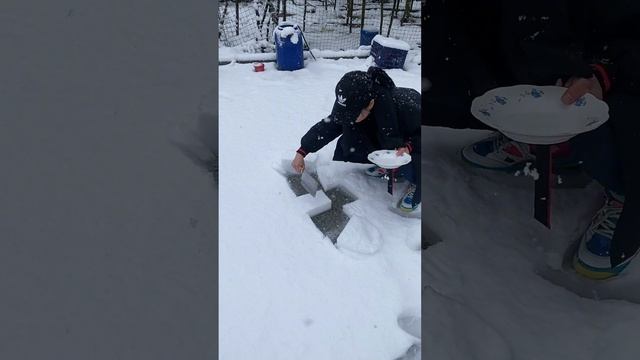 Anime.Uz: TikTok BEST VIDEO #43 #shorts