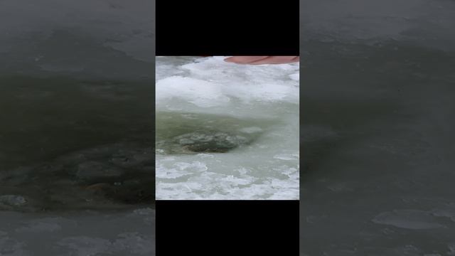 поймал отпусти, кто делает так же лайк подписка!