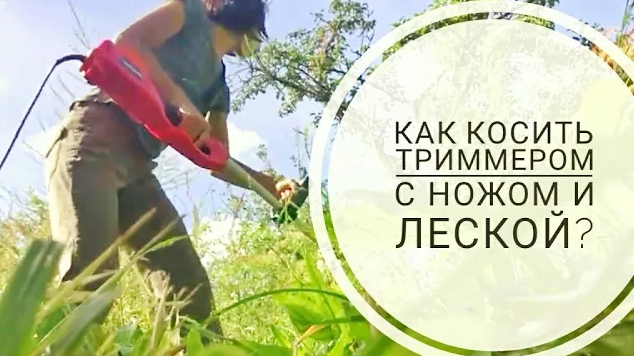 Как косить траву триммером_ Оформление земельного участка..