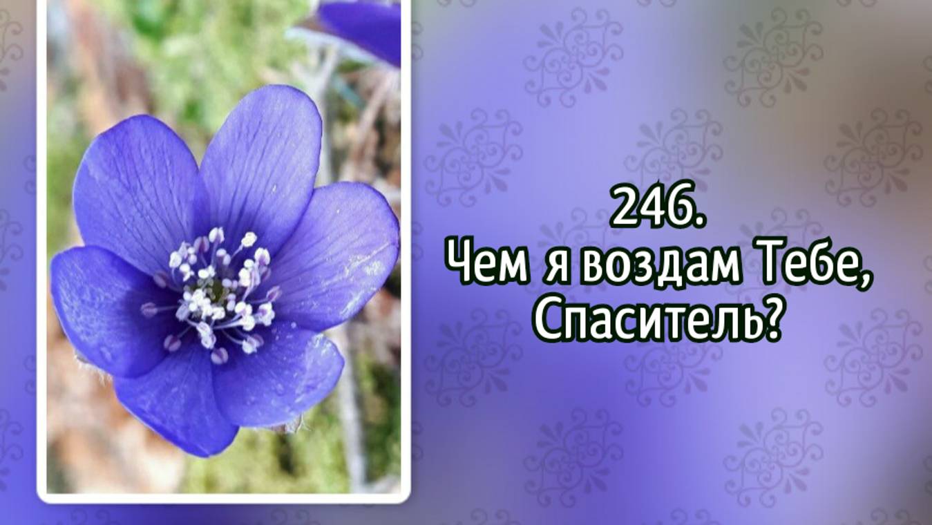 Гимны надежды 246 Чем я воздам Тебе, Спаситель (-)