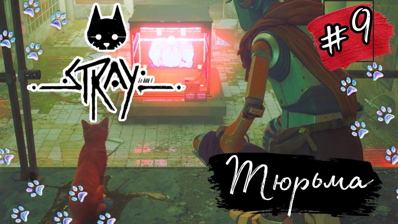 ТЮРЬМА►Stray прохождение #9