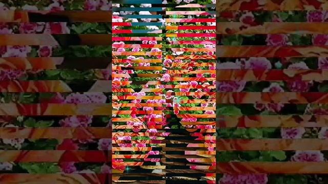 Прекрасного летнего дня