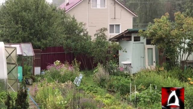 Дачные зарисовки 2021.
 Перец .mp4