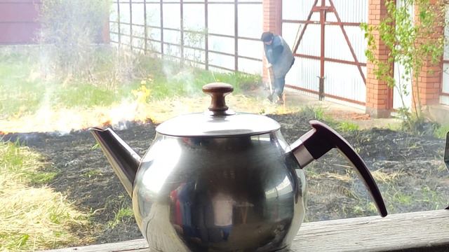 Дача. Дачный сезон открыли. Country house. Участок. Сад, огород.