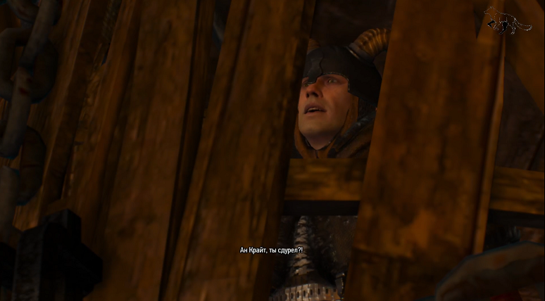 Ведьмак 3: спасение рядового Виги