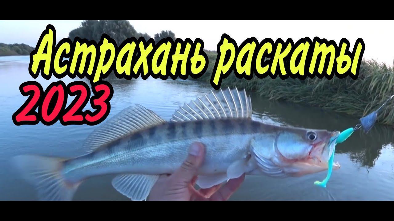 Рыбалка в Астрахани 10 дней дикарями живём в палатке, ловля судака на джиг день 1.