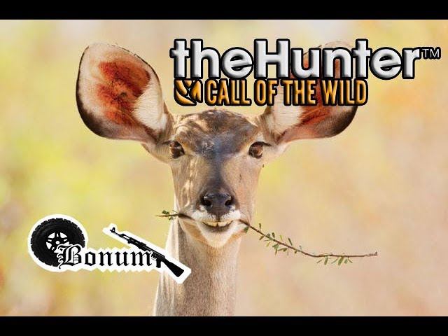 Пешком по theHunter Call of the Wild