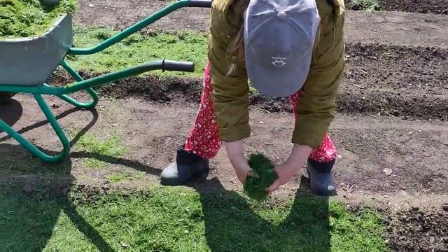 Защита посадок от заморозков. Обещали минус 5.