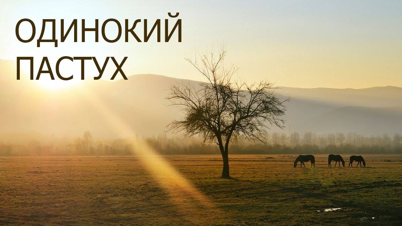 Одинокий пастух | Музыкальные паузы (авторское исполнение)